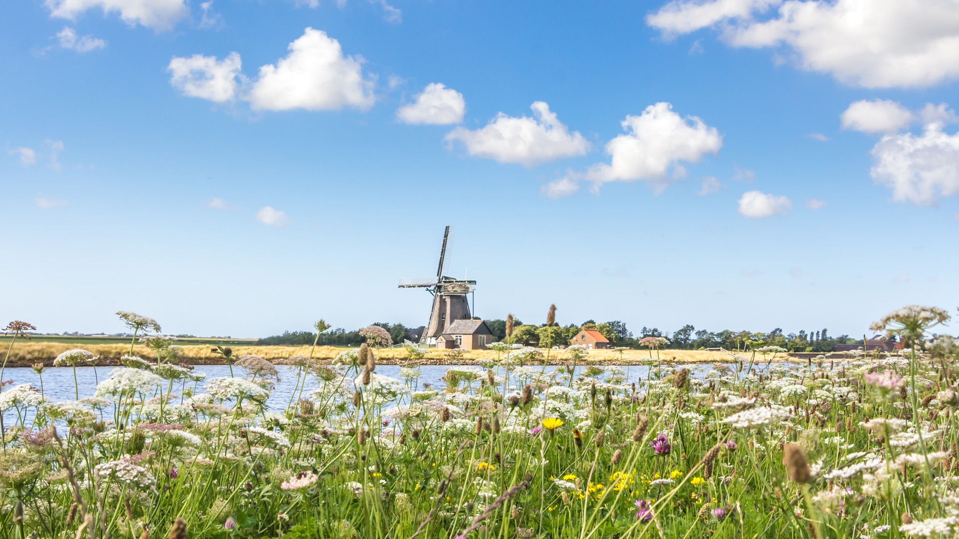Weekje Texel - Texelvakanties.nl